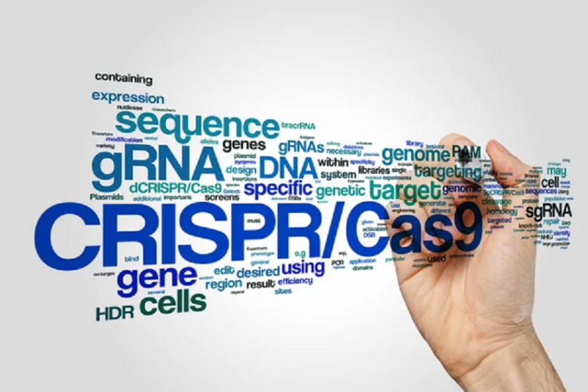 Achieve Pinpoint Accuracy with CRISPR Optimal Target Finder - WeddingStats